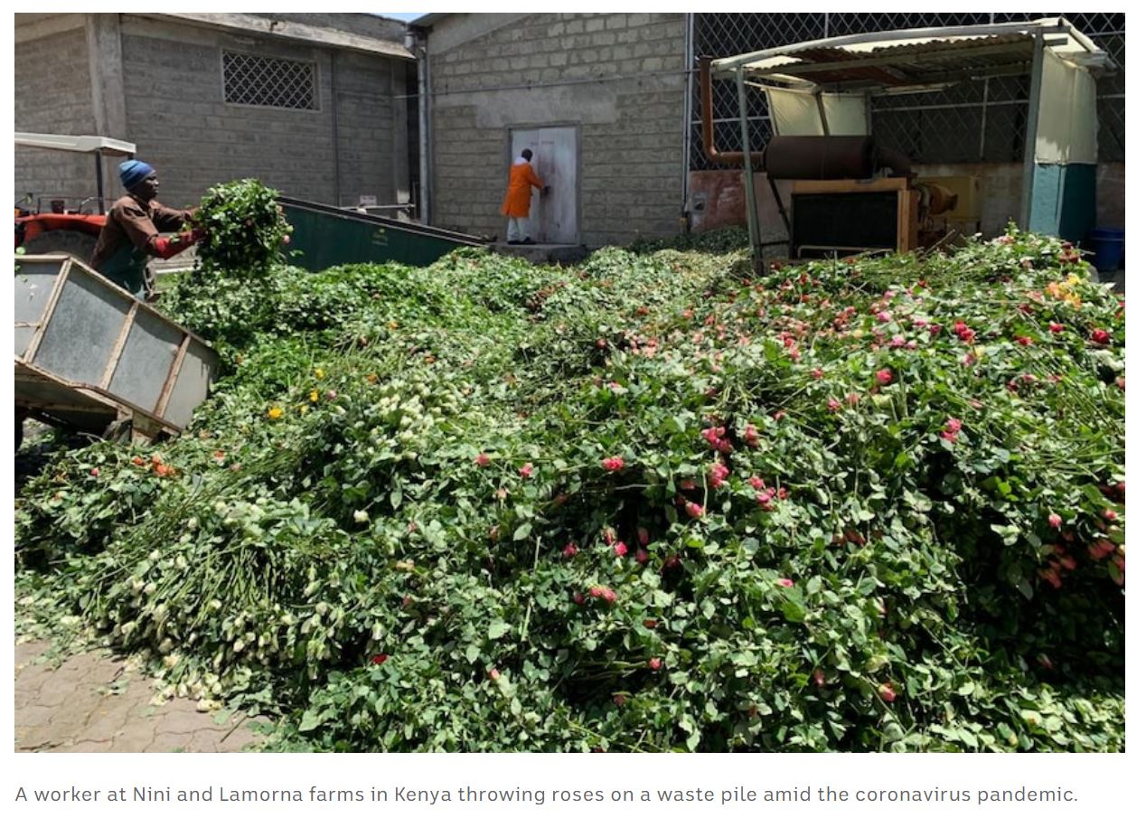 Flower Waste a Second Life – WDCD No Waste Challenge