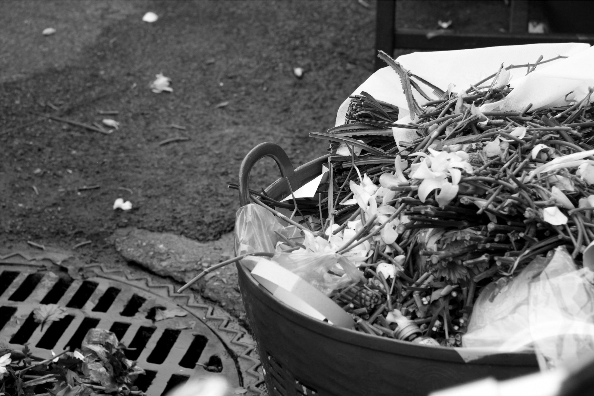 FLOWER MATTER – WDCD No Waste Challenge