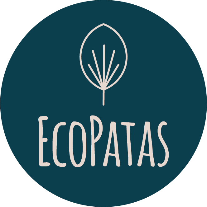 EcoConcept Store -EcoPatas – WDCD No Waste Challenge