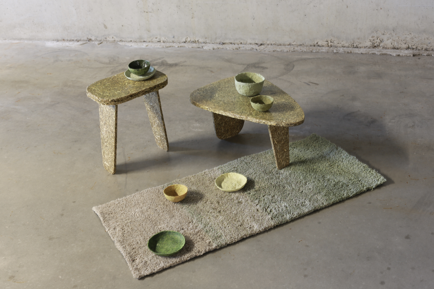 Krapiva Zhguchaya – WDCD No Waste Challenge